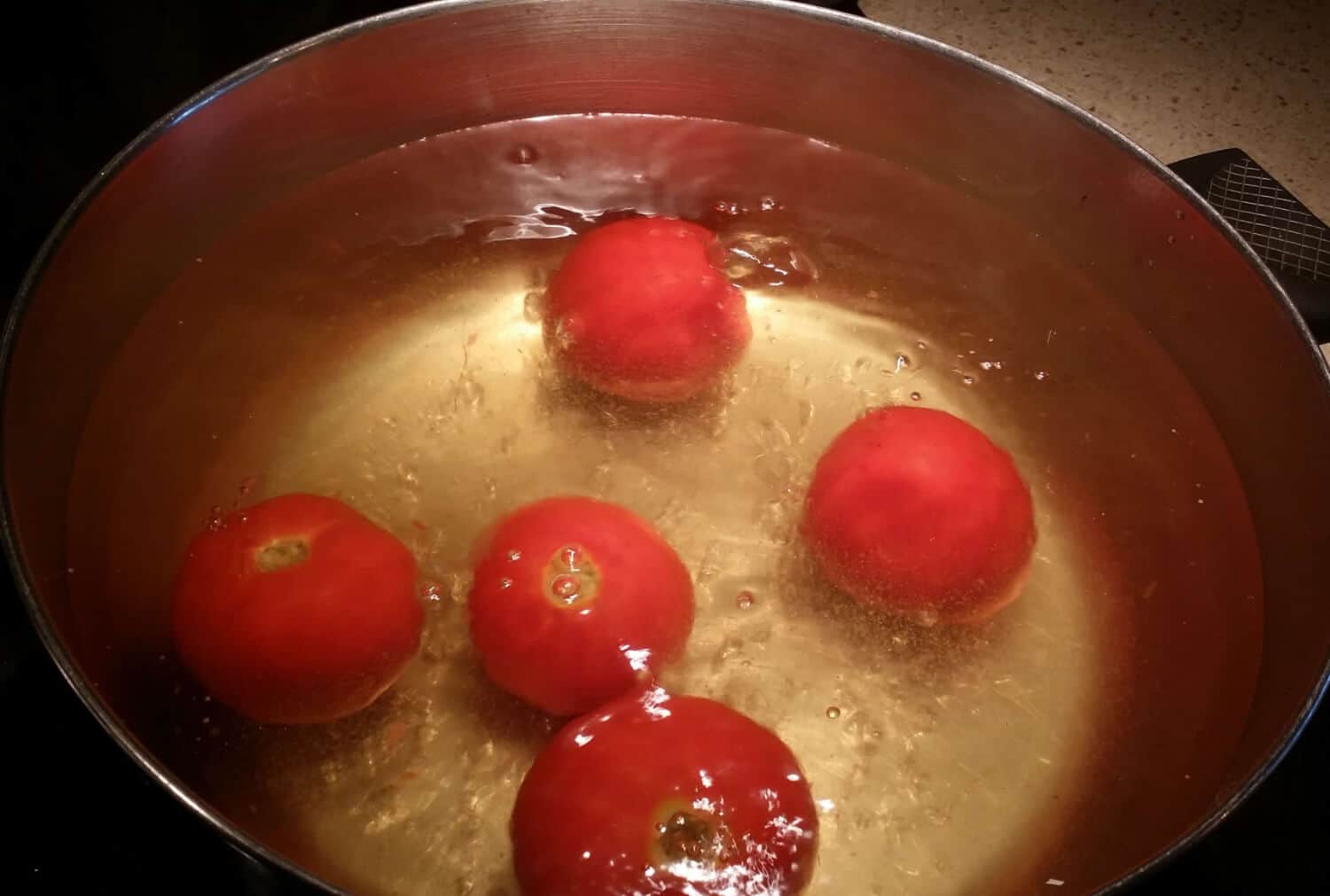 The Best Enchilada Sauce in the World ~ with Canning Directions