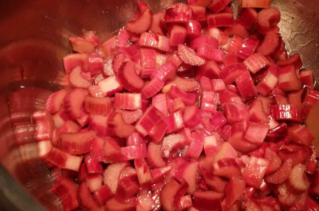 How to Easily Can Rhubarb at Home