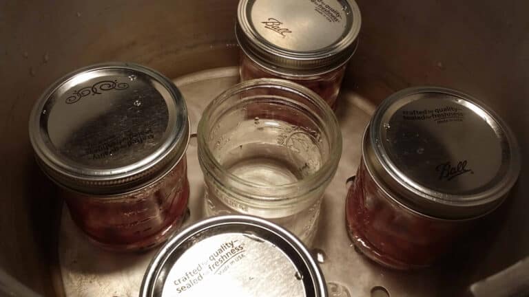 How to Easily Can Rhubarb at Home