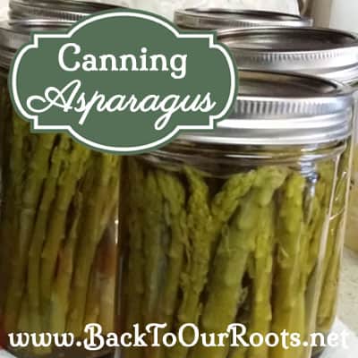 Pressure Canning Asparagus at Home ~ Back to Our Roots