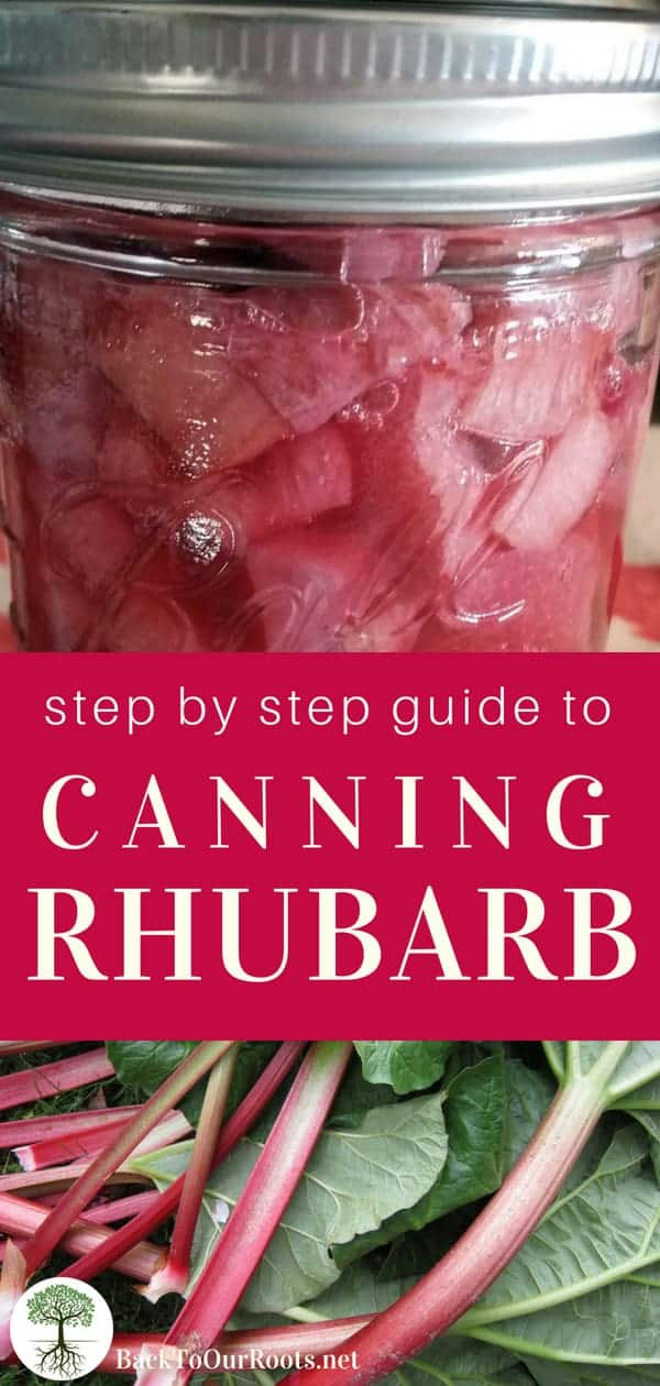 How to Easily Can Rhubarb at Home ~ Back to Our Roots