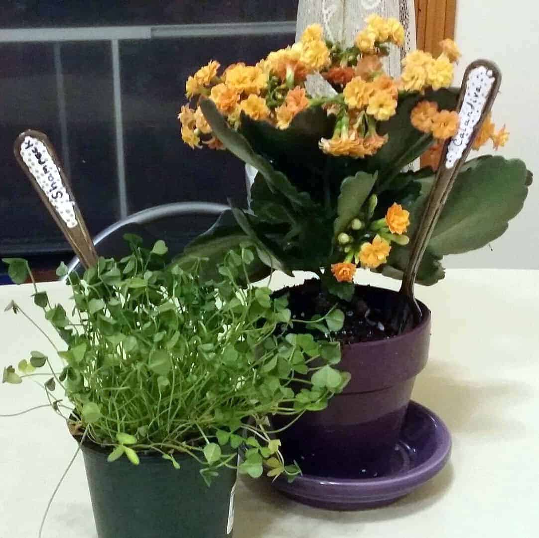 How To Make Pretty Vintage~Look Fork Plant Markers