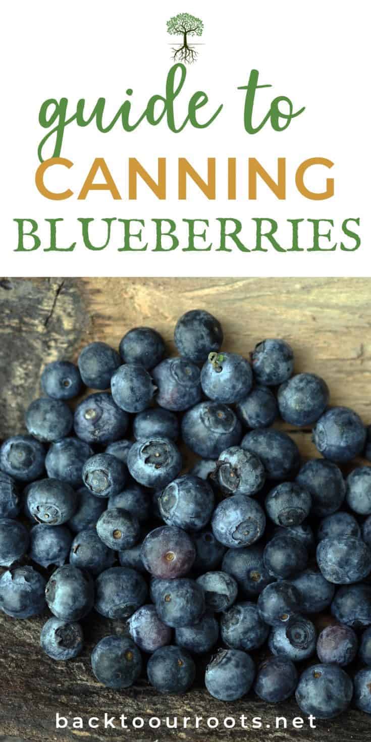 Canning Blueberries ~ Amazing Blueberry Goodness in a Jar