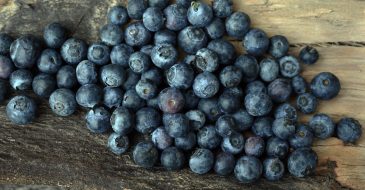 Canning Blueberries ~ Amazing Blueberry Goodness in a Jar