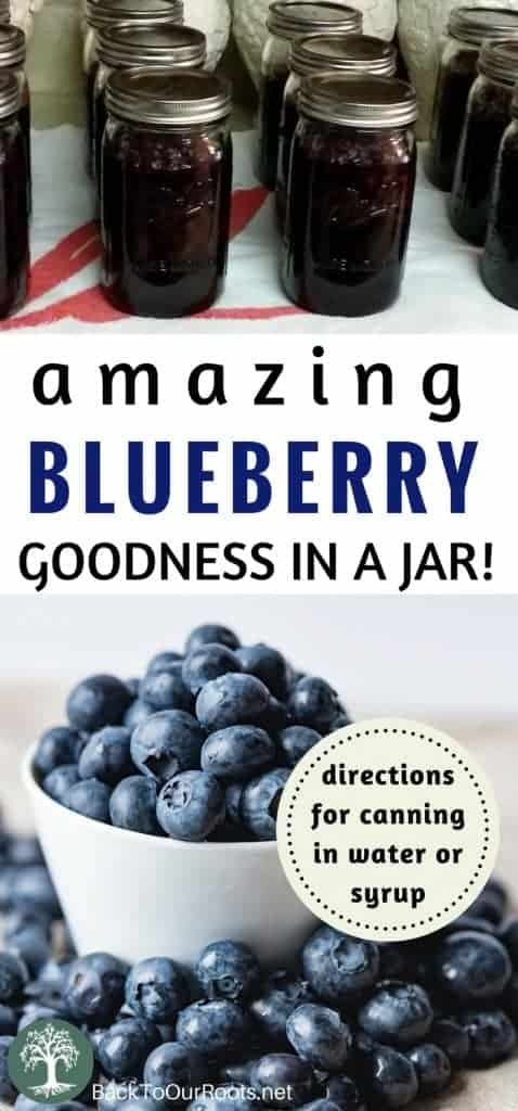 Canning Blueberries ~ Amazing Blueberry Goodness in a Jar ~ Back to Our ...