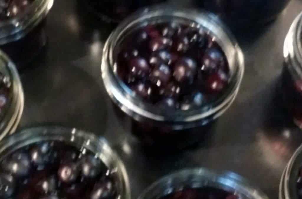 Canning Blueberries ~ Amazing Blueberry Goodness in a Jar