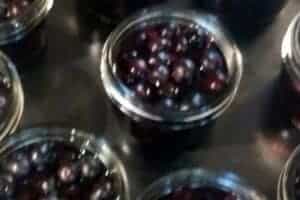 Canning Blueberries ~ Amazing Blueberry Goodness in a Jar