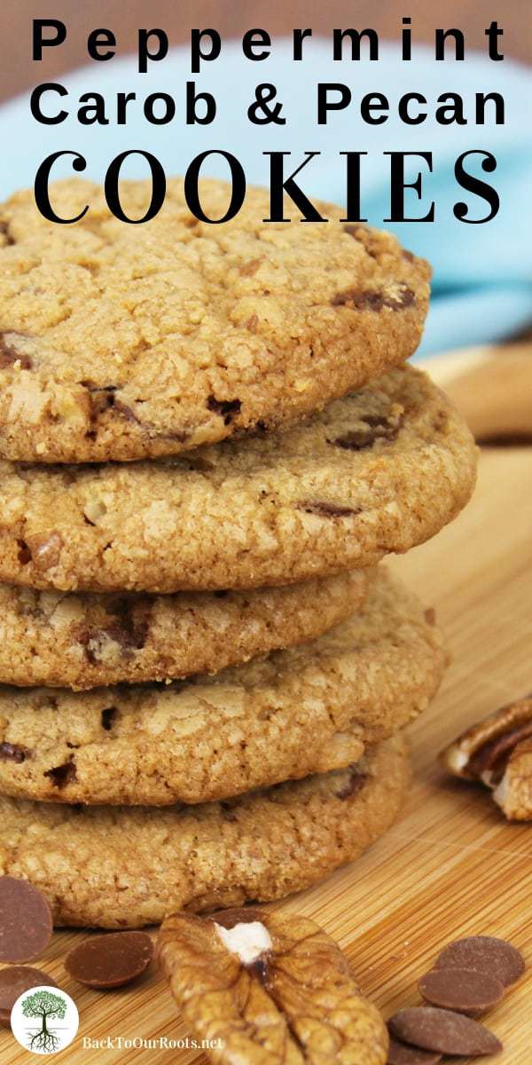 Peppermint Carob Pecan Cookies ~ A New Family Favorite