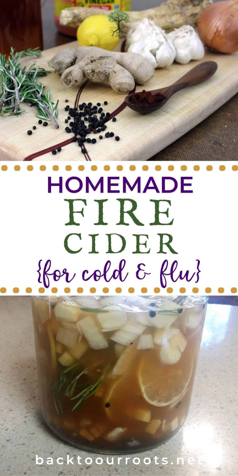 How to Make Fire Cider for Immune Support