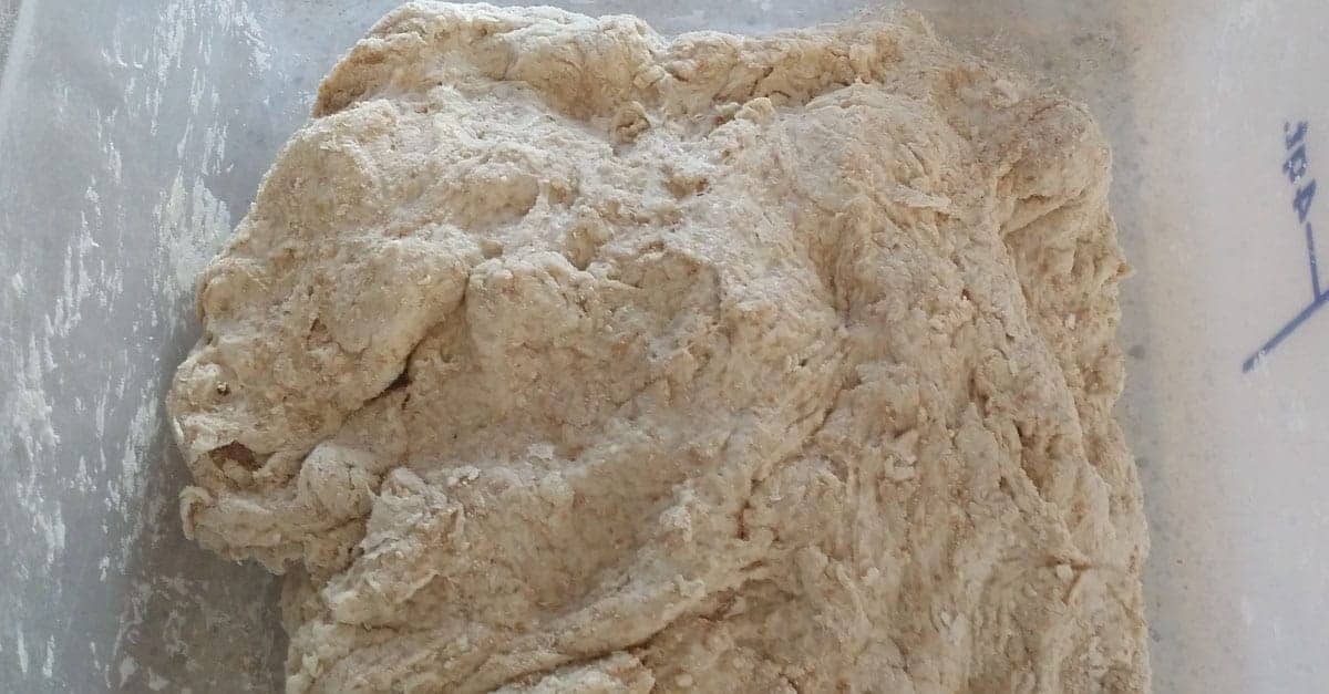 Perfect Whole Wheat No-Knead Bucket Dough