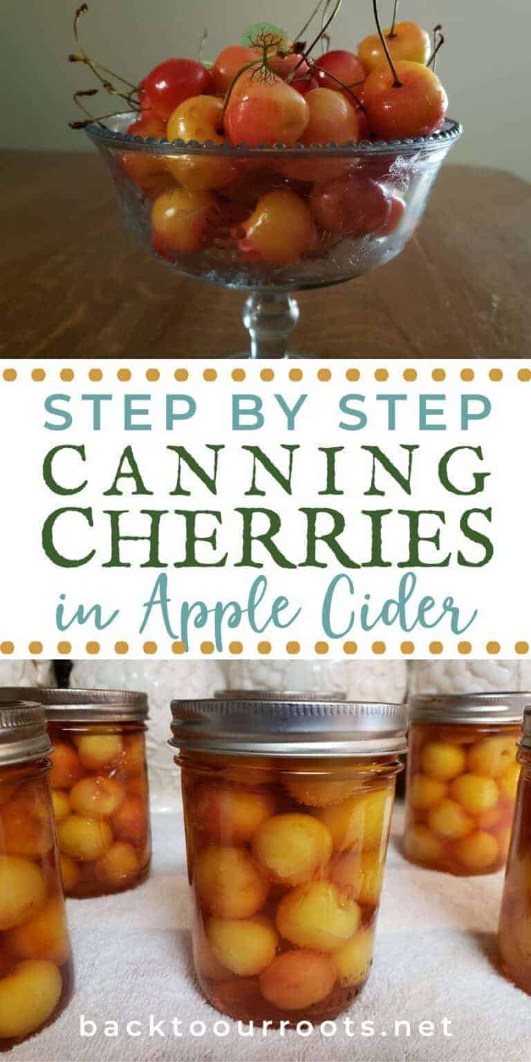 Waterbath Canning Cherries {in Cinnamon Apple Cider}