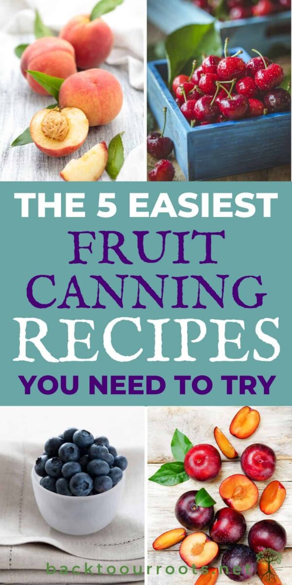 5 Easy Fruit Canning Recipes You Need in Your Pantry