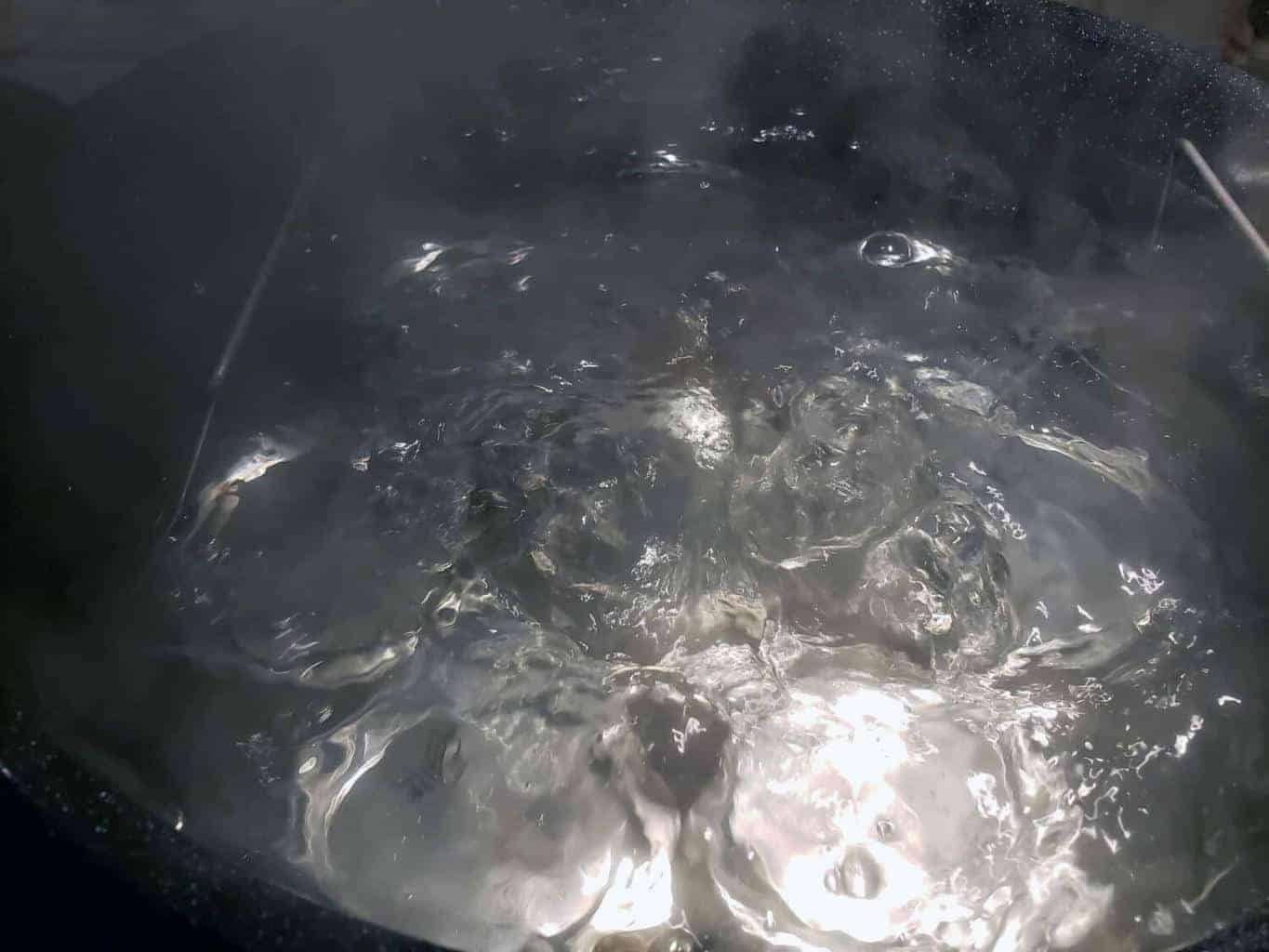 Waterbath Canning Cherries {in Cinnamon Apple Cider}