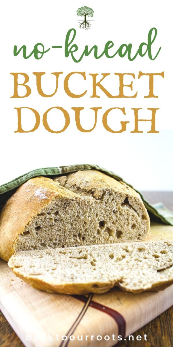 Perfect Whole Wheat No-Knead Bucket Dough