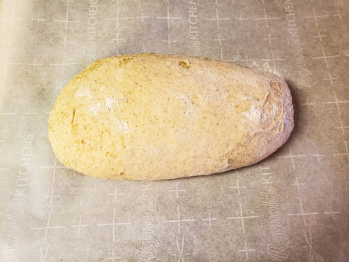 Perfect Whole Wheat No-Knead Bucket Dough