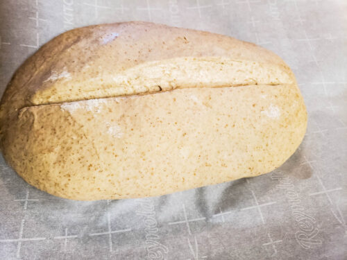 Perfect Whole Wheat No-Knead Bucket Dough