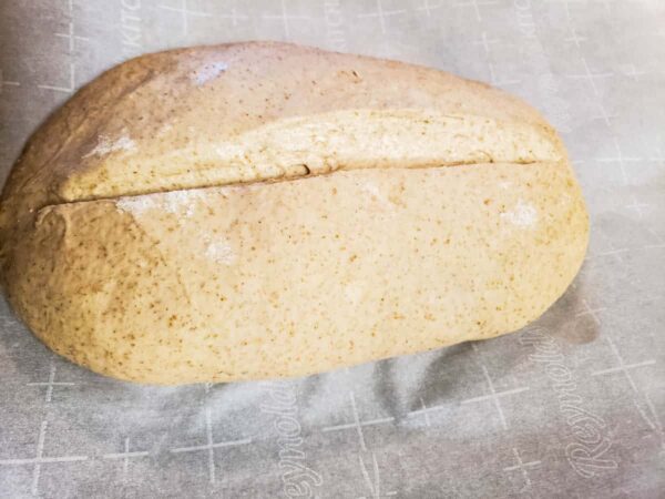 Perfect Whole Wheat No-Knead Bucket Dough