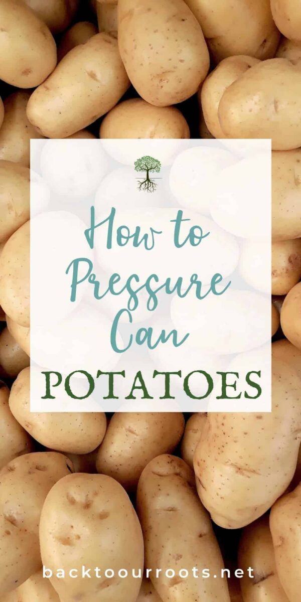 Canning Potatoes in Your Pressure Canner for Food Storage