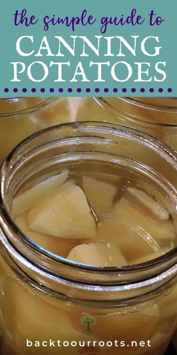 Canning Potatoes in Your Pressure Canner for Food Storage