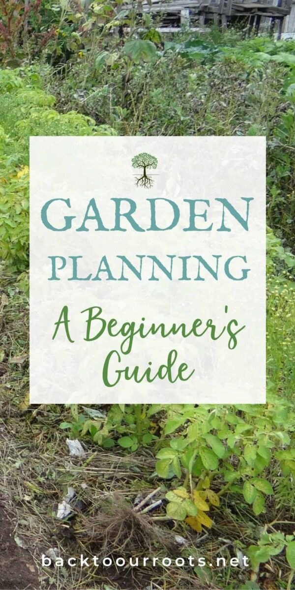 Simple Garden Planning for Beginners